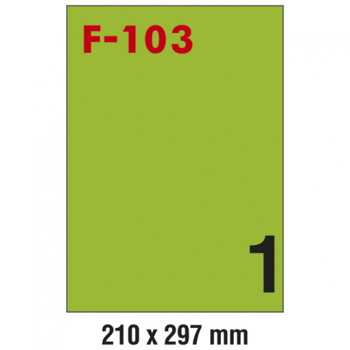 Etikete ILK 210x297mm pk100L Fornax F-100 zelene