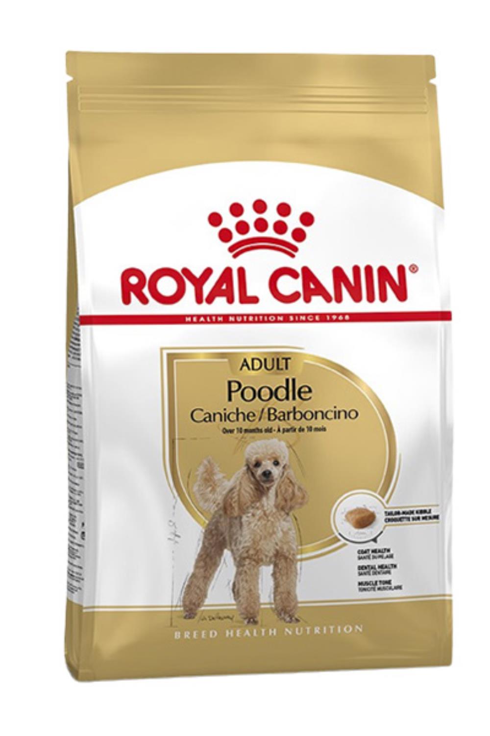 RC Poodle Dog