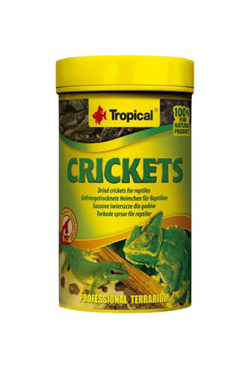 CRICKETS osuseni cvrcci, hrana za reptile