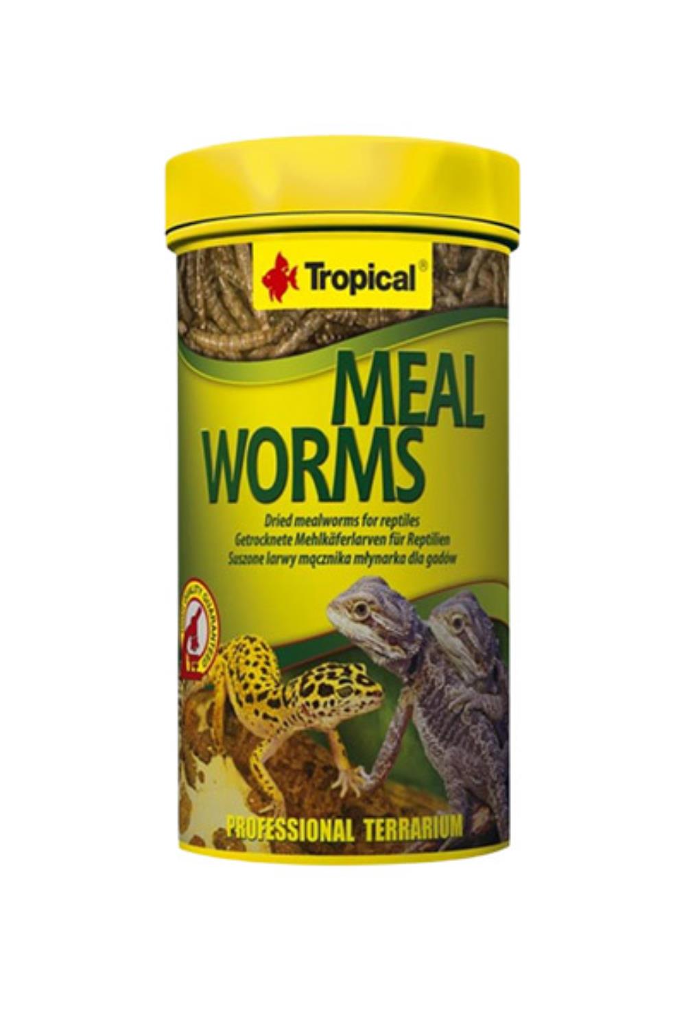 MEAL WORMS osuseni brasneni crvici - hrana za reptile i ribe