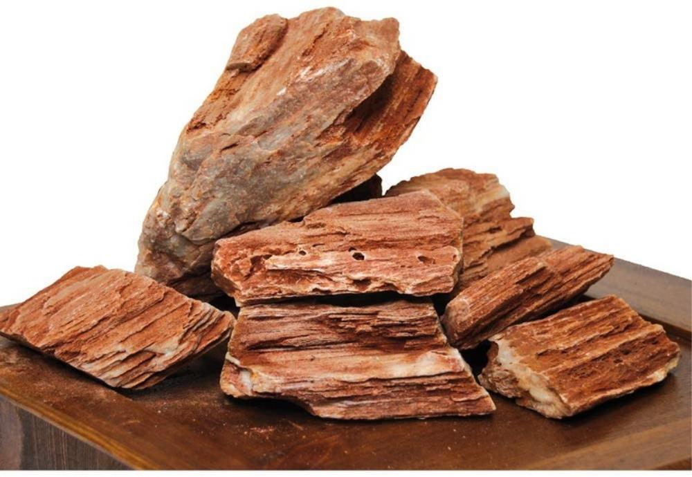 Ukrasni kamen prirodni Driftwood fossil rock S 10-20 cm