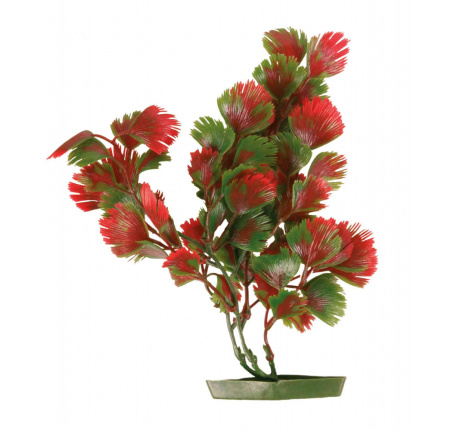 Mala akvarijumska biljka, 17 cm