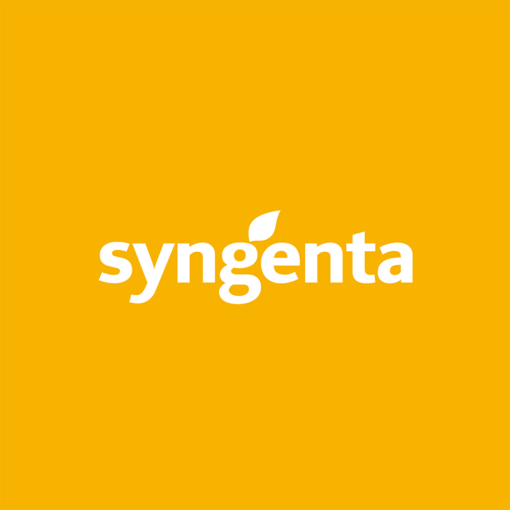 Seme kukuruza SYGENTA IGNIS + FORCE