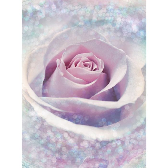 Phot.mur.Delicate Rose200*260cm