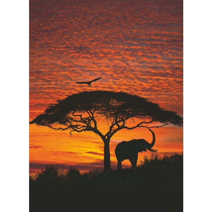 Phot.mur.African sunset C4/270*194cm