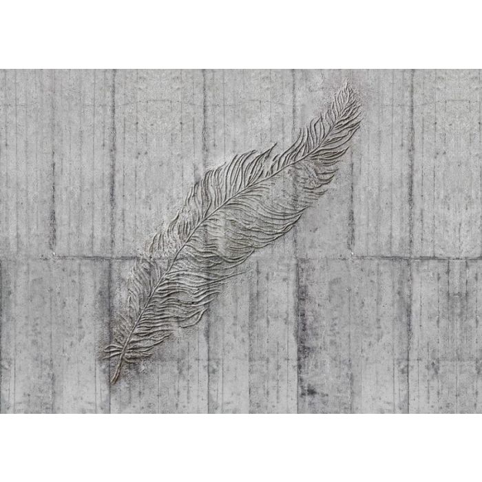 Phot.mur.Concrete Feather 7/1 350*250cm