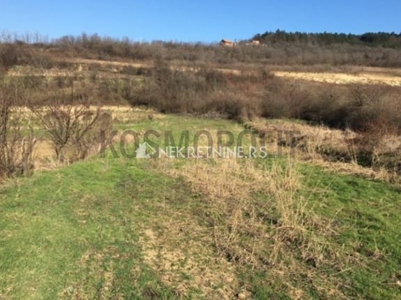 Palilula, Višnjica, Ramadanska, Zemljište, 1400ari, 56000 EUR