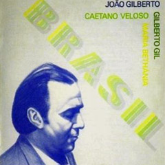 Joao Gilberto - Brasil (CD)