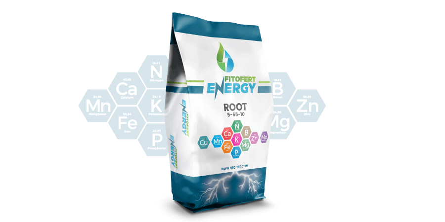 ENERGY ROOT 5-55-10