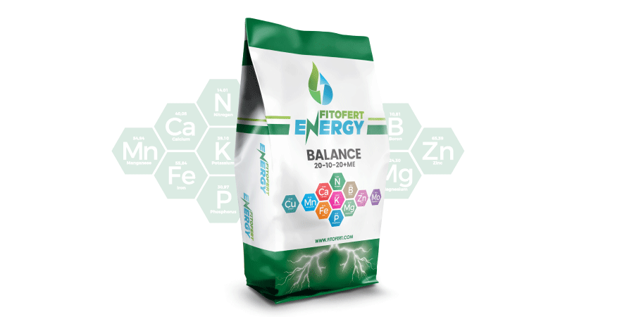 ENERGY BALANCE 20-10-20