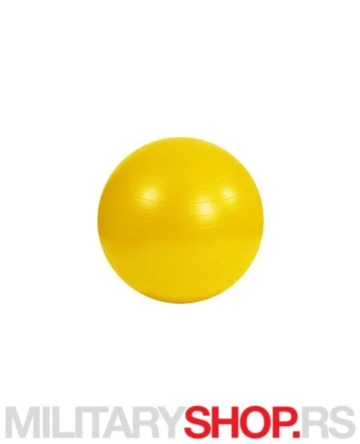 Pilates lopta MSD AB Gym-Ball 45cm