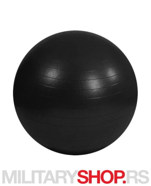 Lopta za pilates 85cm MSD Gym-Ball