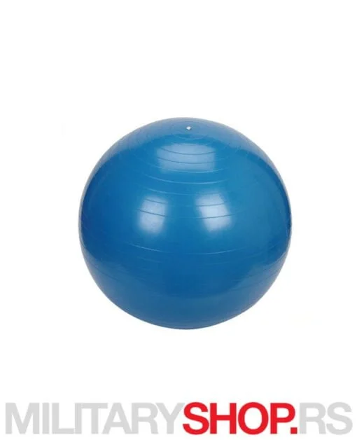 Fitnes lopta plava 75cm MSD AB