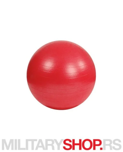 MSD Gym-Ball 55cm crvena pilates lopta
