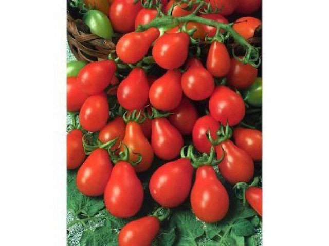 Cherry crvena kruska paradajz heirloom(seme) - Ceri