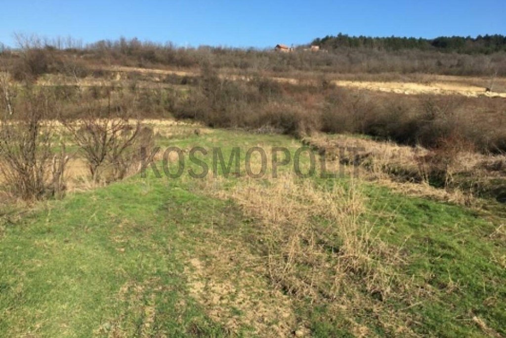 Palilula, Višnjica, Ramadanska, Zemljište, 1400ari, 56000 EUR