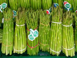 Špargla (seme) Asparagus