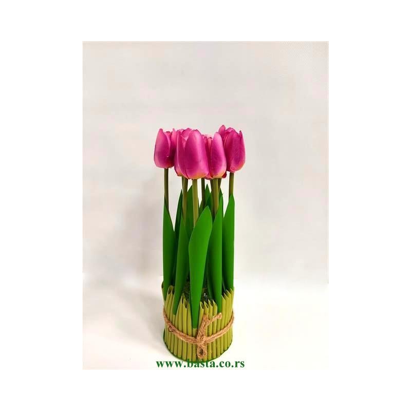 Bunt tulipana 23 ciklama