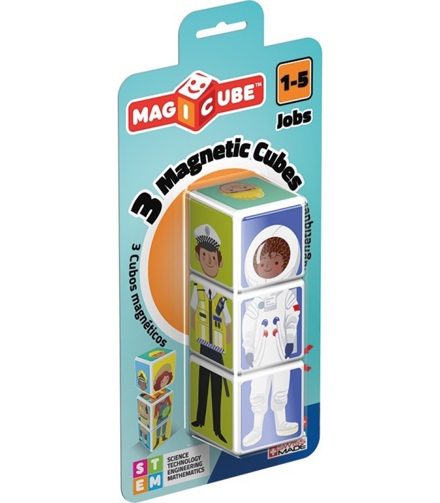 Geomag MAGICUBE Jobs