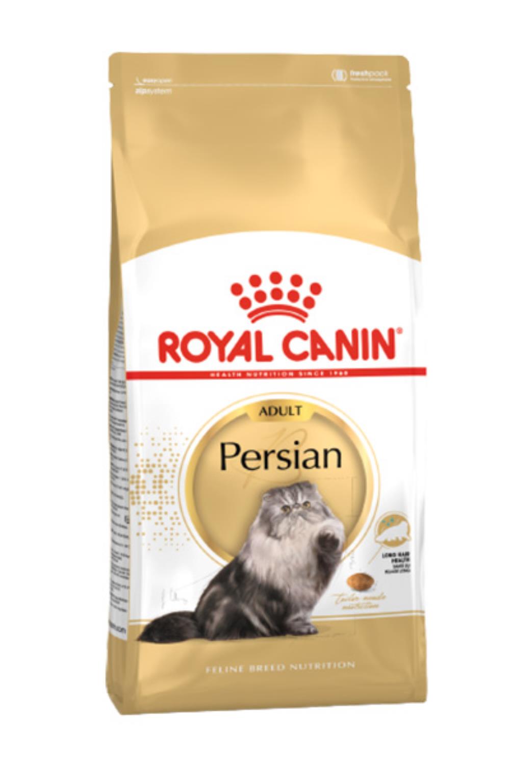 RC PERSIAN CAT