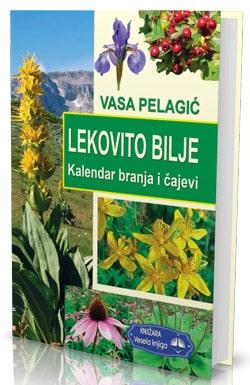 LEKOVITO BILJE kalendar branja i čajevi – Vasa Pelagić(TVRD POVEZ)