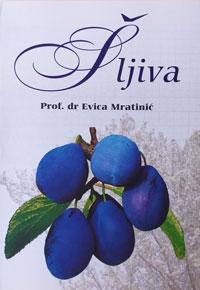 ŠLJIVA – Evica Mratinić