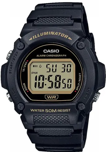 Casio