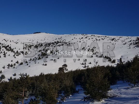 PLAC ČIGOTA ZLATIBOR !!!