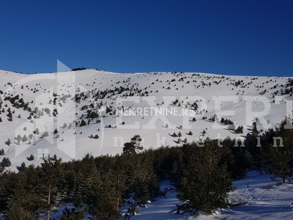 PLAC ČIGOTA ZLATIBOR !!!