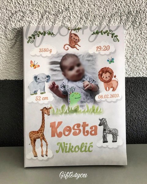 Dečija Radosnica ZOO