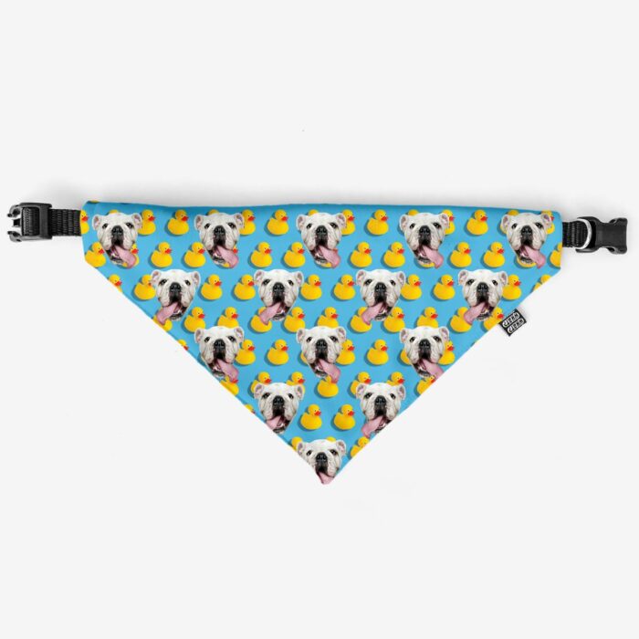 Patkice Bandana