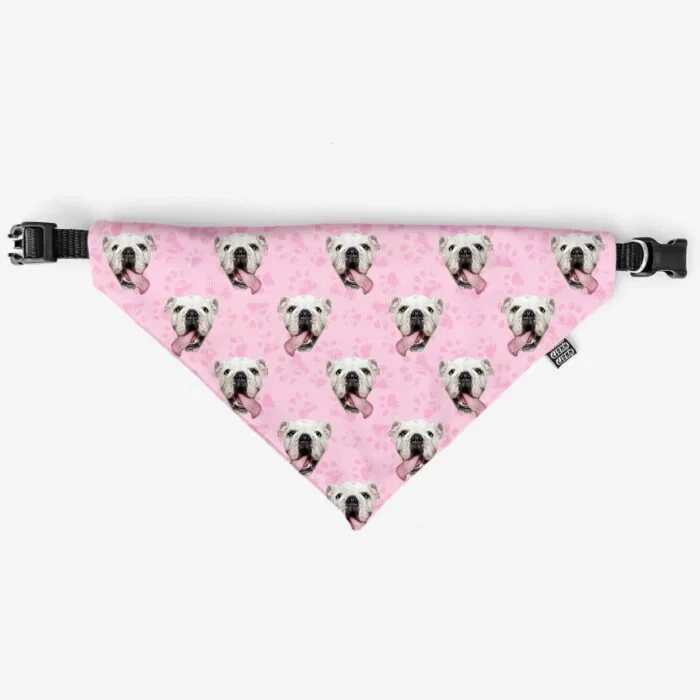 Pink Bandana