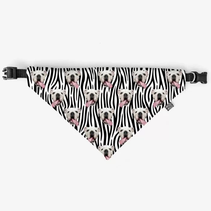 Zebra Bandana