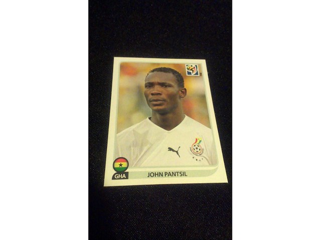 Panini FIFA 2010 J.Afrika sličica broj 319