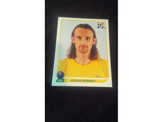 Panini FIFA 2010 J.Afrika sličica broj 294