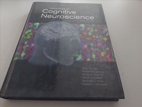 Principles of cognitive neuroscience ENG