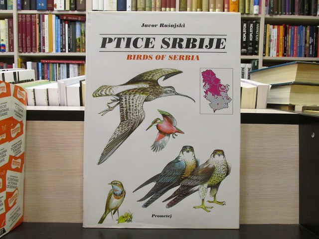 PTICE SRBIJE Birds of Serbia - Javor Rašajski