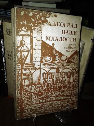 Beograd naše mladosti: Zapisi o Beogradu 1918-1941