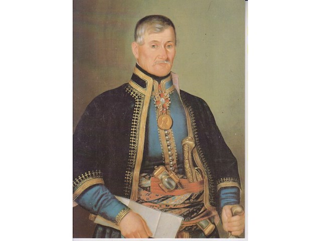 JANIĆIJE ĐURIĆ (1779-1850) Srpski vojskovođA - perfekT