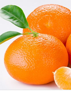 MANDARINA