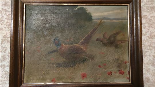 Arthur Heyer, Fazani u polju, ulje na platnu, 1899