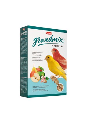 Padovan Grandmix 1kg hrana za kanarince