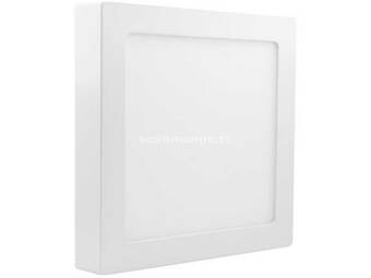 Plafonski LED panel 18W Dnevno svetlo LNPS-P18/W