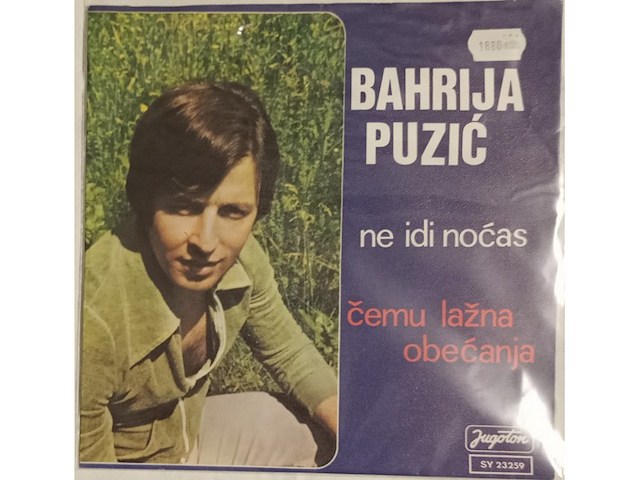 BAHRIJA  PUZIC  -  NE  IDI  NOCAS