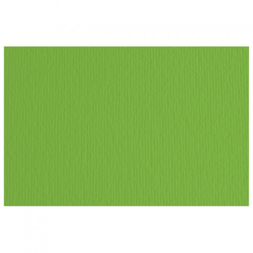 Papir u boji B1 220g Elle Erre Fabriano 46470111 tamno zeleni (verde) pk10