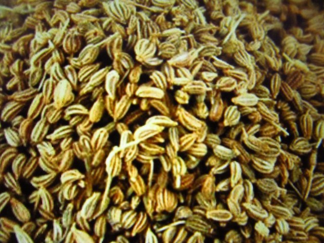 Ajvan, indijski začin, seme