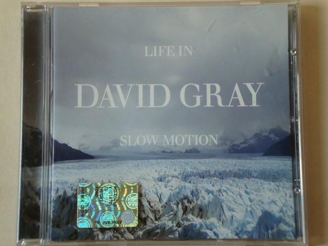 David Gray - Life In Slow Motion