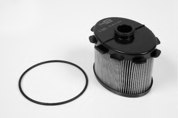 Champion CFF100250 filter goriva Peugeot/Citroen 1.9D