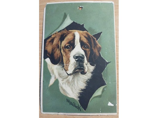 Pas viri kroz papirni zid razglednica 1924