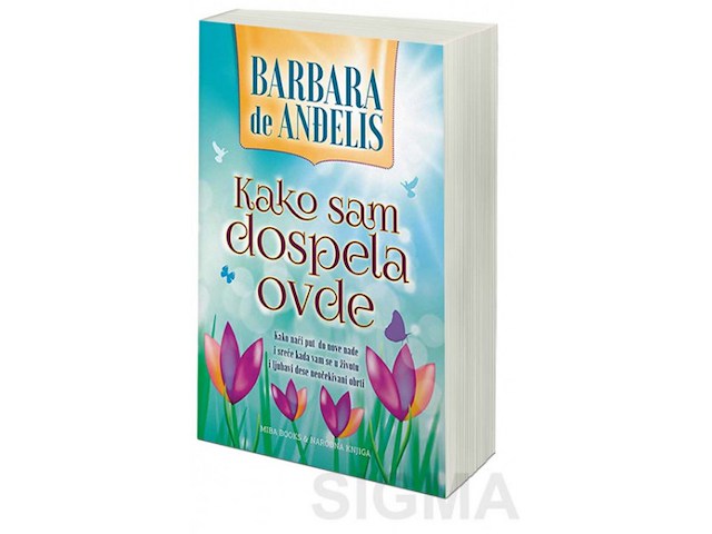 Kako sam dospela ovde - Barbara de Angelis